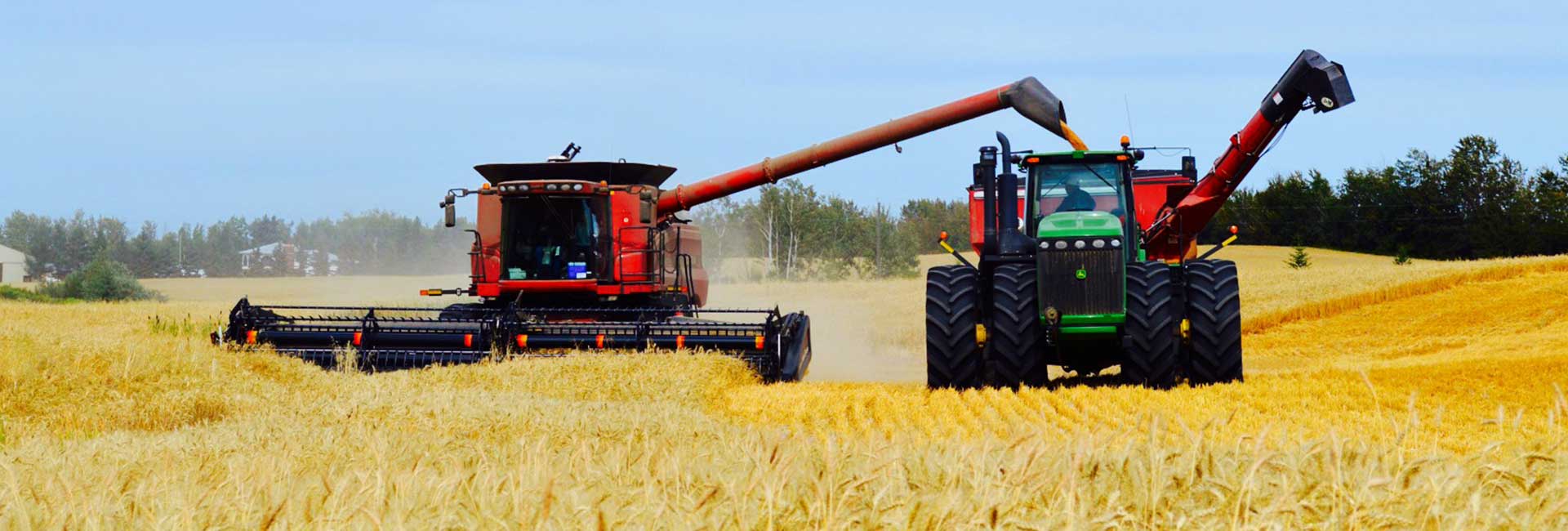 Crop Management Network Inc. | Solutions · Service · Sustainability