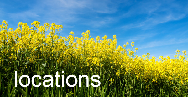 Crop Management Network Inc. | Solutions · Service · Sustainability