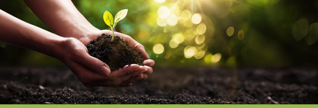 Crop Management Network Inc. | Vision, Mission & Values